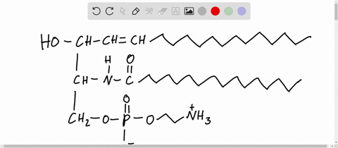 SOLVED:Identify the following glycerophospholipid, which helps conduct ...