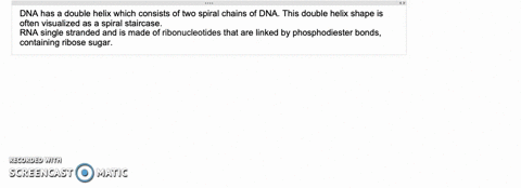 SOLVED:Describe the double-helix structure of DNA and the single ...