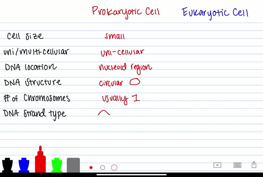 SOLVED: Eukaryotic organisms have O circular; bidirectionally O linear ...