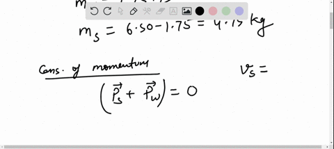 SOLVED:Animal Propulsion. Squids and octopuses propel themsclves by ...