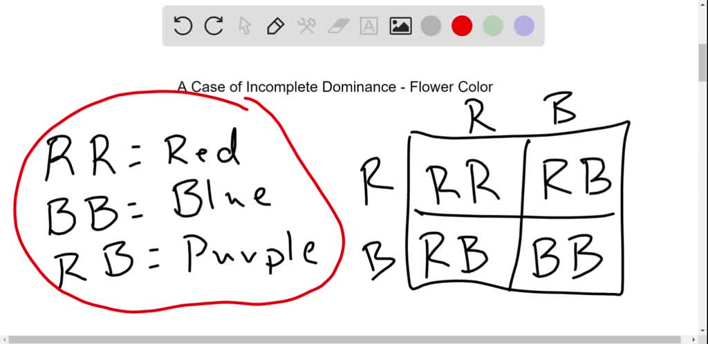 SOLVED:If B is a dominant allele for blue flowers and R is a dominant ...