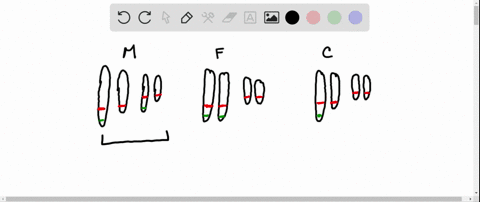 SOLVED:A phenotypically normal individual has the following ...