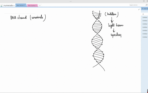 To measure the absorbance of your dna you can dillute it...