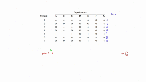 SOLVED:The intermediates A, B, C, D, E, and F all occur in the same ...