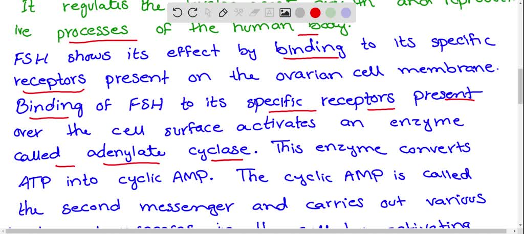 Arrange in sequence, working of ' FSH^+ ? (1) Binding to membrane ...