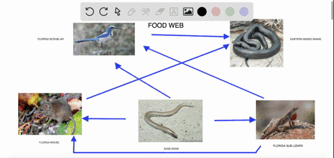 SOLVED:Look around your neighborhood and identify the various kinds of ...