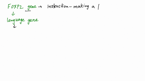 SOLVED:The F O X P 2 gene is sometimes called the "language gene." Why ...