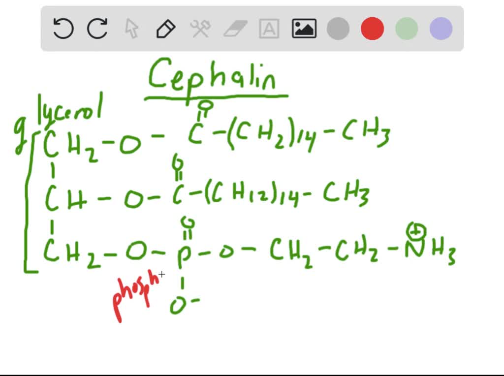 Draw the condensed structural formula for the cephalin that contains ...