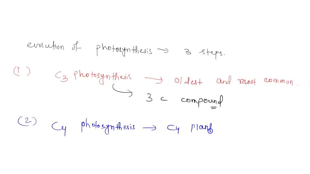 ⏩SOLVED:What are the main steps of photosynthesis? | Numerade