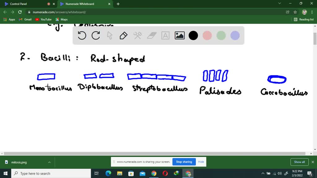 ⏩SOLVED:Structural differences among bacteria are not great. How are… | Numerade
