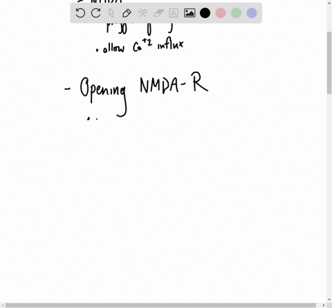 SOLVED:Topiramate has which set of three mechanisms of action? (A ...