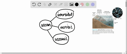 SOLVED:Make a concept map depicting the relationships among the zones ...