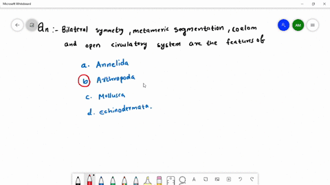 SOLVED:Bilateral symmetry, metameric segmentation, coclom art open ...