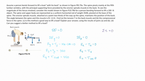SOLVED: Figure 1 shows schematically the forces acting on the spine of ...