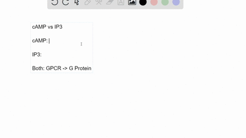 SOLVED:Compare and contrast the signaling events involved with the ...