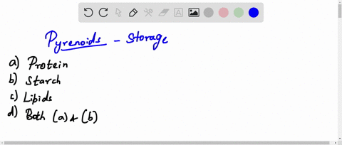 SOLVED:Pyrenoids store (a) Protein (b) Starch (c) Lipids (d) Both (a ...