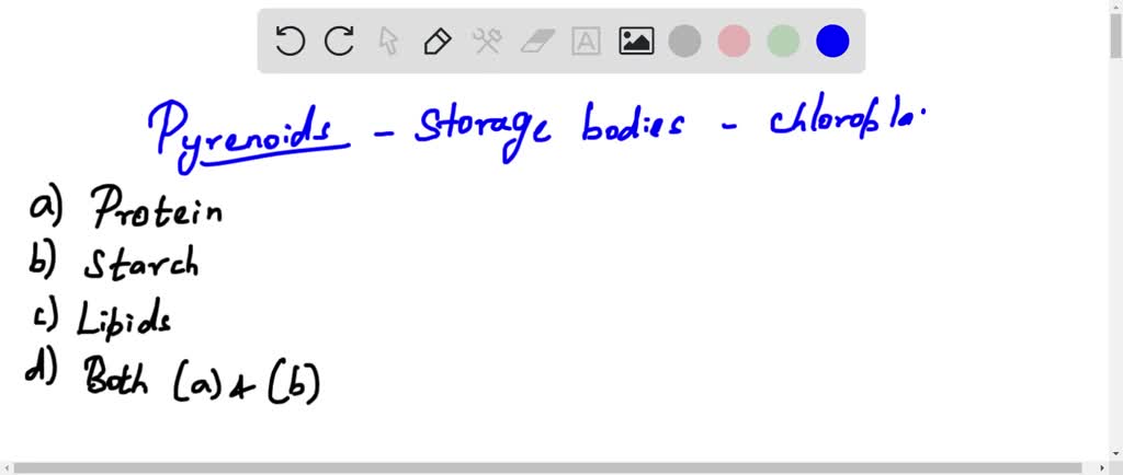 SOLVED:Pyrenoids store (a) Protein (b) Starch (c) Lipids (d) Both (a ...
