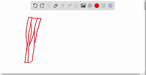 SOLVED:How do tracheids differ from vessel elements, in addition to ...
