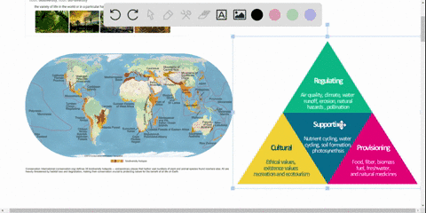 Chapter 2, Risk Factors Video Solutions, Challenging Behavior in Young ...