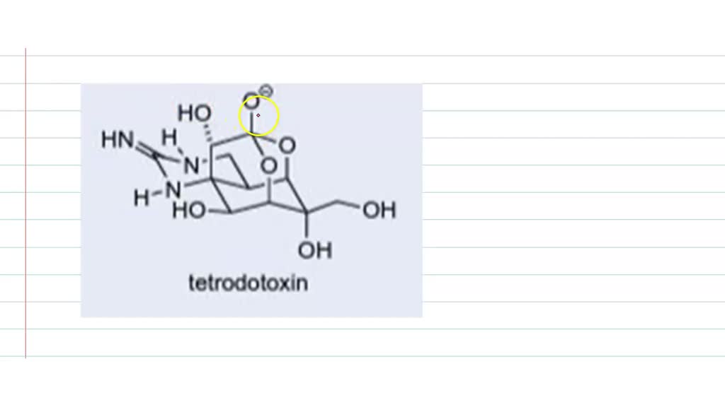 SOLVED:Tetrodotoxin is a potent poison that is found in the puffer fish ...