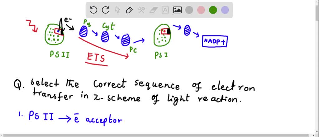 SOLVED:Select the correct sequence of electron transfer in Z-scheme of ...