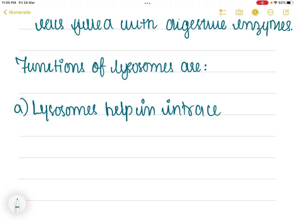 SOLVED List Three Functions Of Lysosomes 