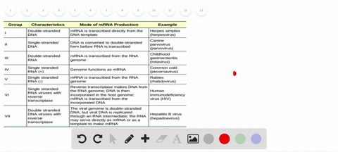 SOLVED:The table below shows the Baltimore Classification used to ...