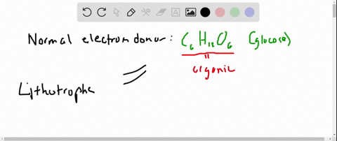 Che cosa sono gli organismi litotrofi? Si tratta di autotrofi o ...