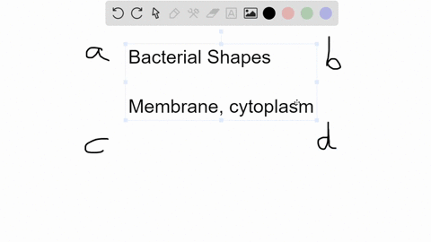 Which of the following morphologic structures is characteristic of ...