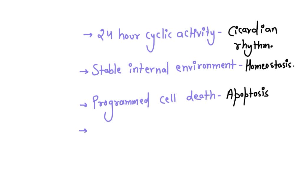SOLVED:Match the terms with their most suitable description. circadian ...