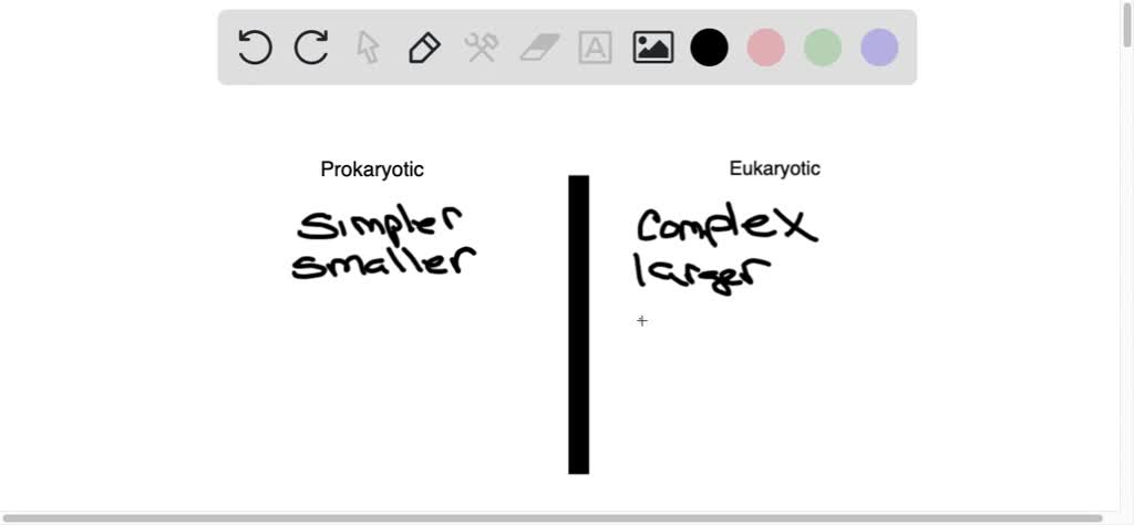 ⏩SOLVED:What are some differences between prokaryotic and eukaryotic ... ⏩SOLVED:What are some differences between prokaryotic and eukaryotic ...