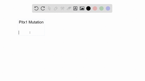 ⏩SOLVED:Some stickleback fish develop protective spines, and other ...