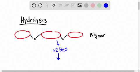 ⏩SOLVED:The word hydrolysis is defined as the lysis of water. How ...