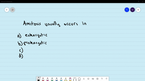 SOLVED:Amitosis usually occurs in (a) eukaryotic cells (b) prokaryotic ...