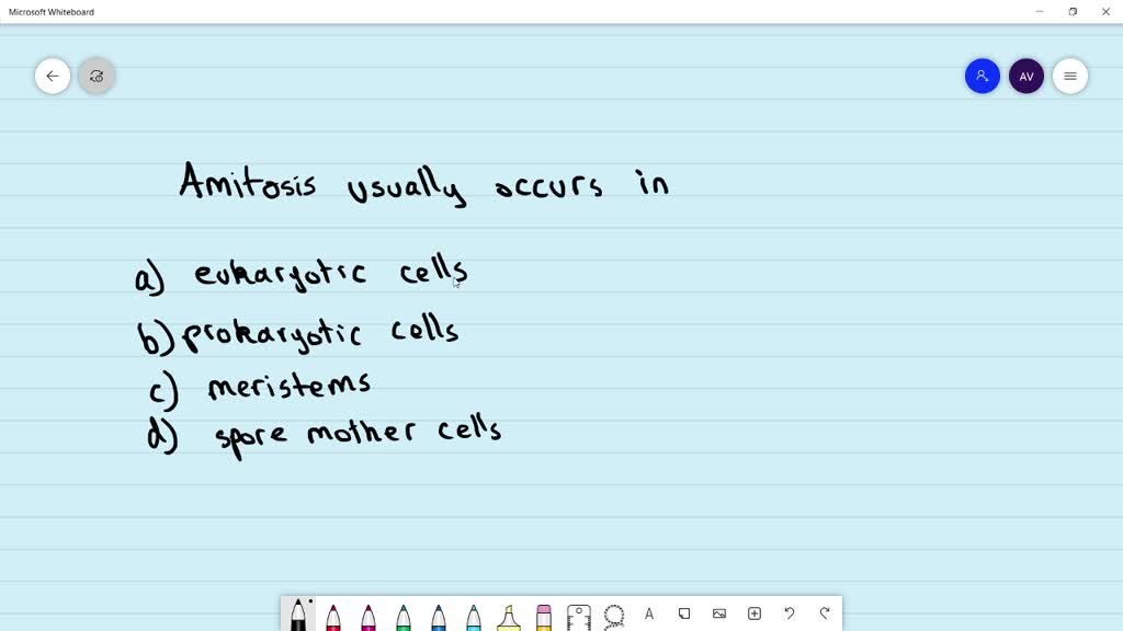 SOLVED:Amitosis usually occurs in (a) eukaryotic cells (b) prokaryotic ...