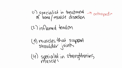 SOLVED: Read the following case study and replace the words in italics ...