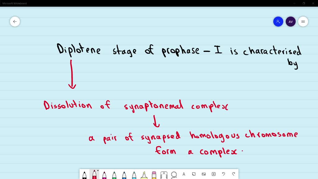 Solved Diplotene Stage Of Prophase L Is Characterised By A