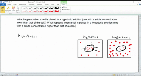What causes the membrane of a red blood cell to burst when the cell is ...