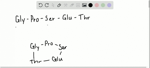 SOLVED:REFLECT AND APPLY Consider the peptides Gly-Pro-Ser -GluThr ...