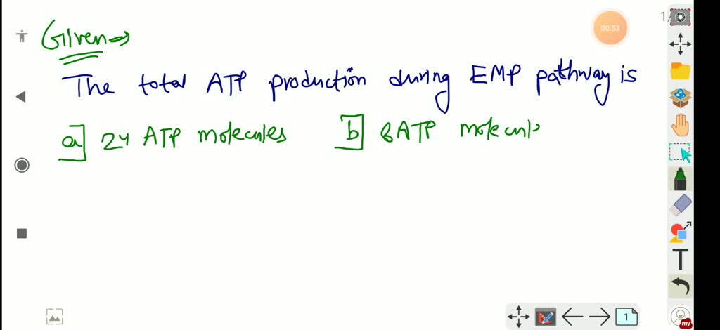 The total ATP production during EMP pathway is (a) 24 ATP molecules (b ...