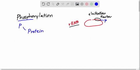 SOLVED:Protein modifications can alter gene expression in many ways ...