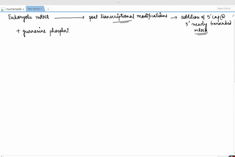 SOLVED:What is the 5^' cap? How is the 5^' cap added to eukaryotic pre ...