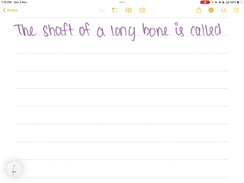 SOLVED:Complete the following sentences. Shaft of a long bone is the