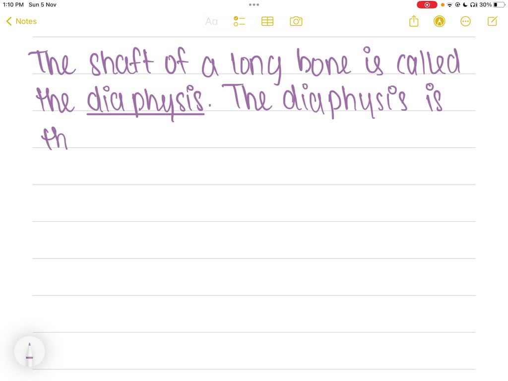 SOLVED:Complete the following sentences. Shaft of a long bone is the