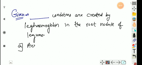 SOLVED:conditions are created by leghaemoglobin in the roct noctu'e of ...