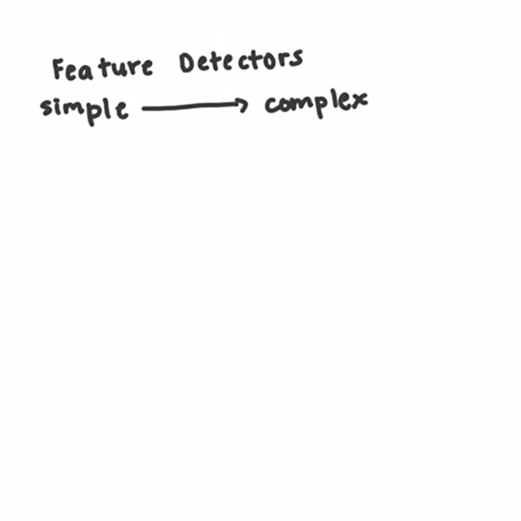 SOLVED: The cells in the visual cortex that respond to certain lines ...