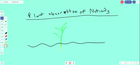 ⏩SOLVED:List the nutrients that plants must obtain from the soil in ...