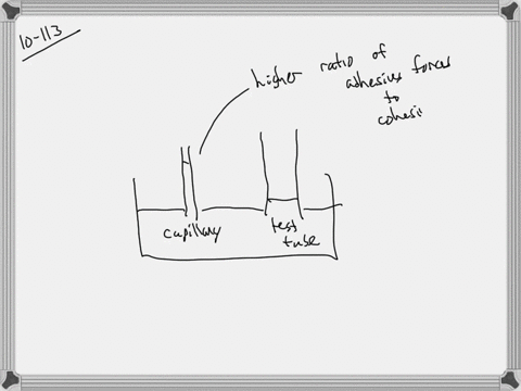SOLVED:Explain why water and dissolved substances leave the arteriolar ...