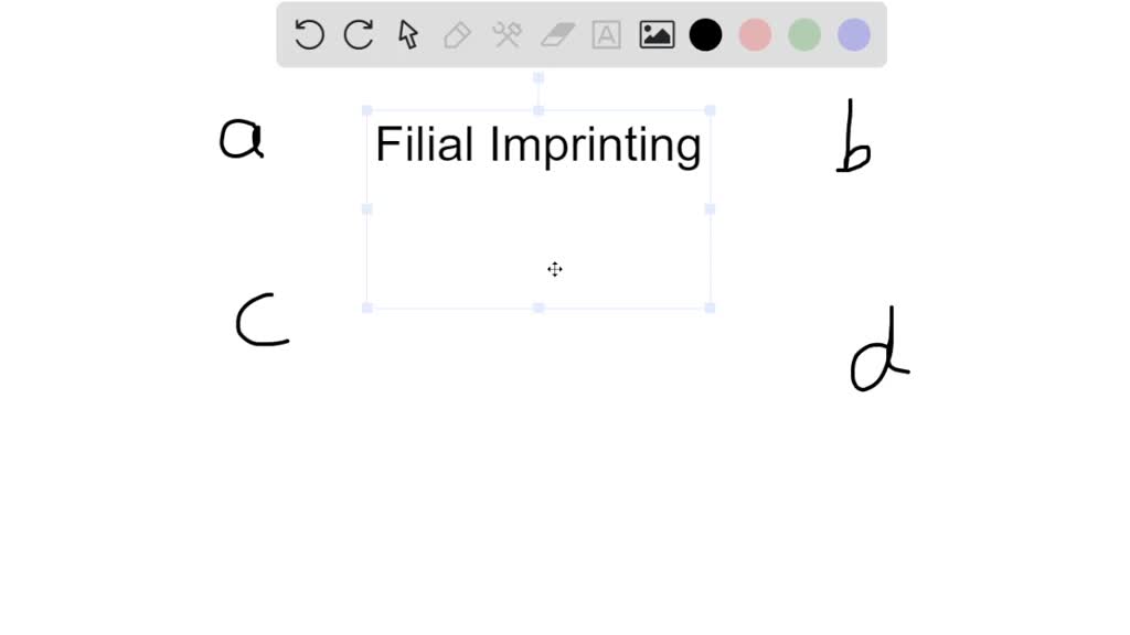 SOLVED:What is the difference between imprinting and attachment? a. All ...