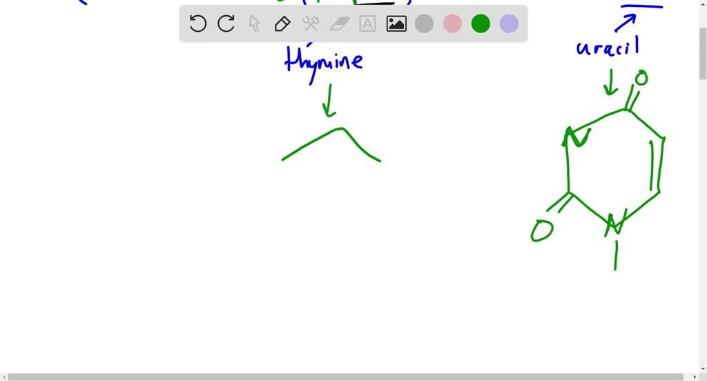 ⏩SOLVED:If mRNA is complementary to the DNA template strand and the ...